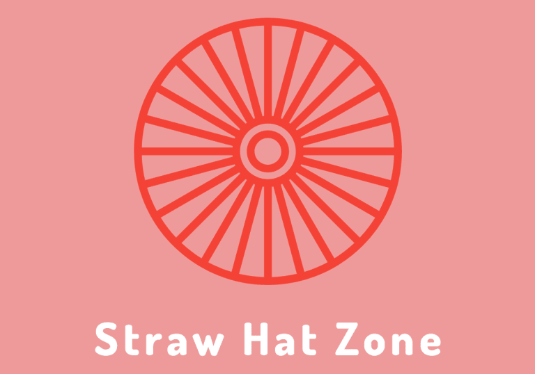 Festival Straw Hats | 1,000+ Styles | Free Shipping!